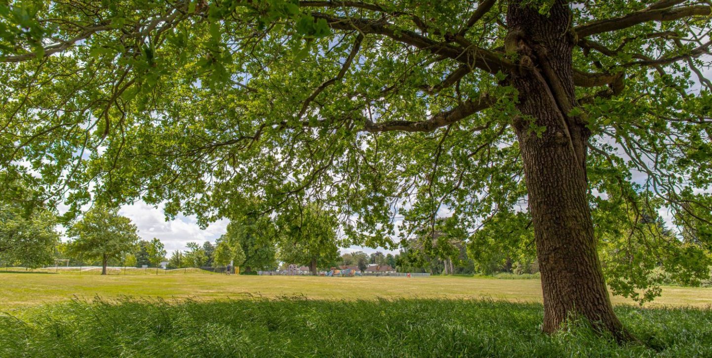 Baddow Hall Park Chelmsford - Love Your Chelmsford