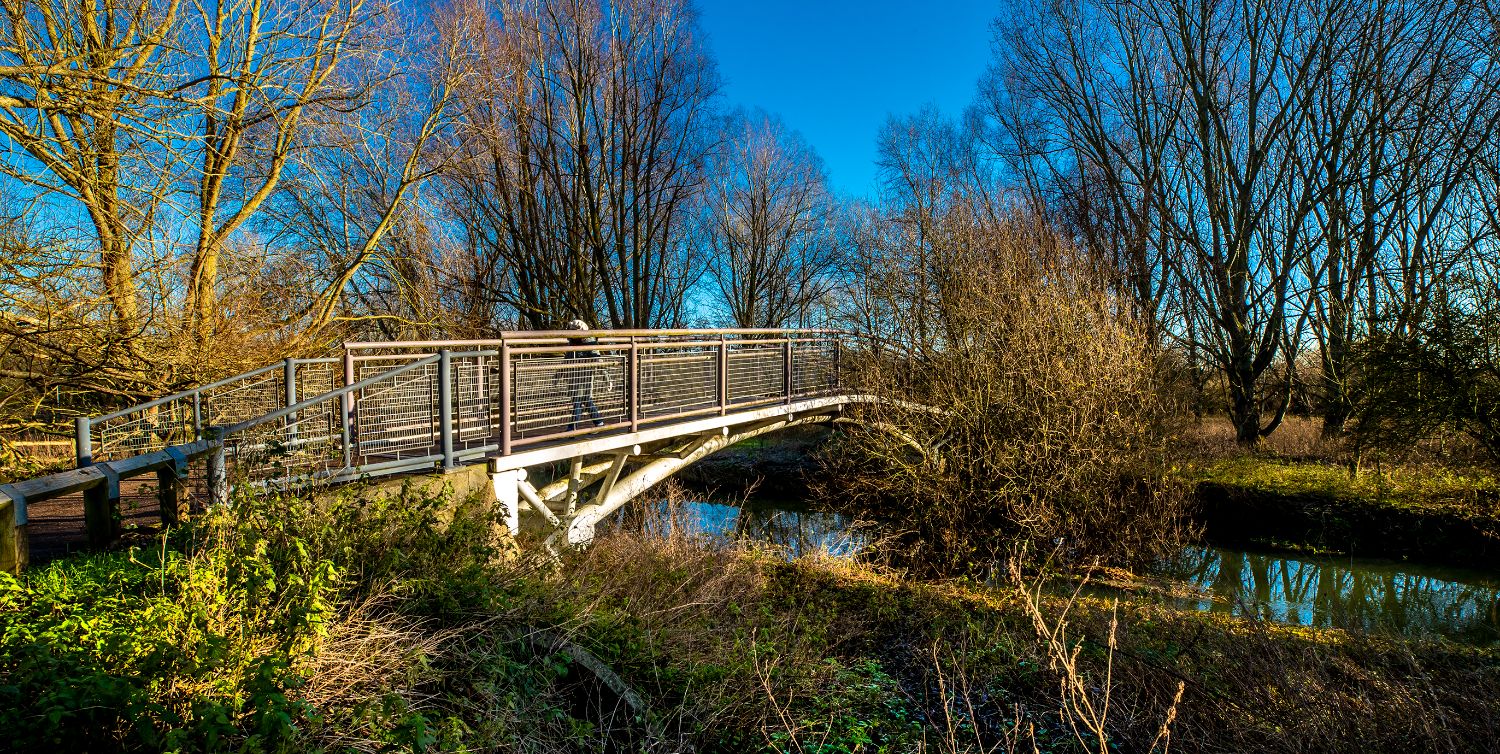 Chelmer Valley Local Nature Reserve - Love Your Chelmsford