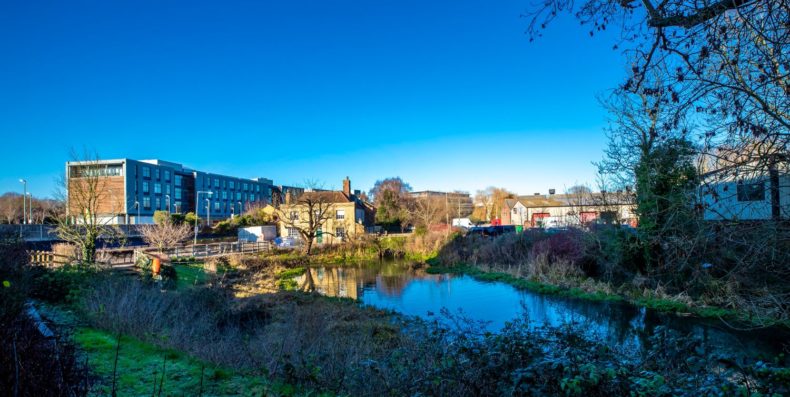 Chelmer Valley Local Nature Reserve - Love Your Chelmsford