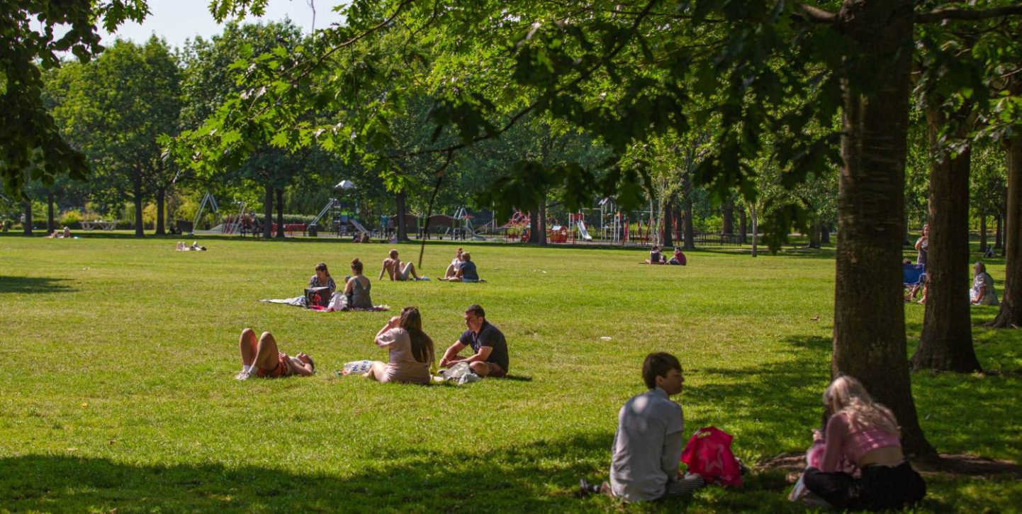 Central Park, Bell Meadow and Sky Blue Pasture - Love Your Chelmsford