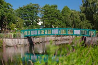 Central Park, Bell Meadow and Sky Blue Pasture - Love Your Chelmsford