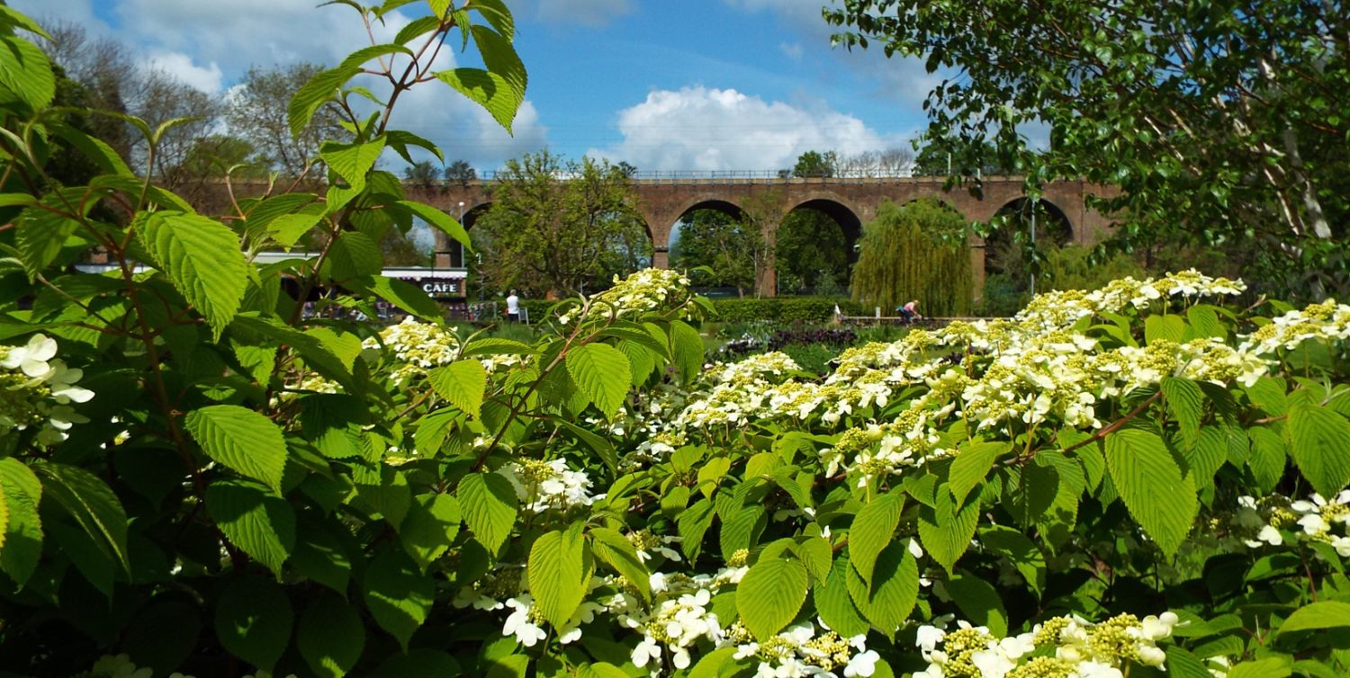 Central Park, Bell Meadow and Sky Blue Pasture - Love Your Chelmsford