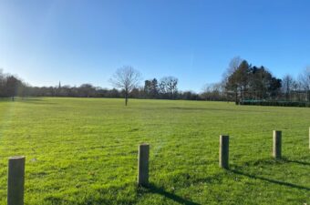 Hylands Park, Chelmsford - Love Your Chelmsford