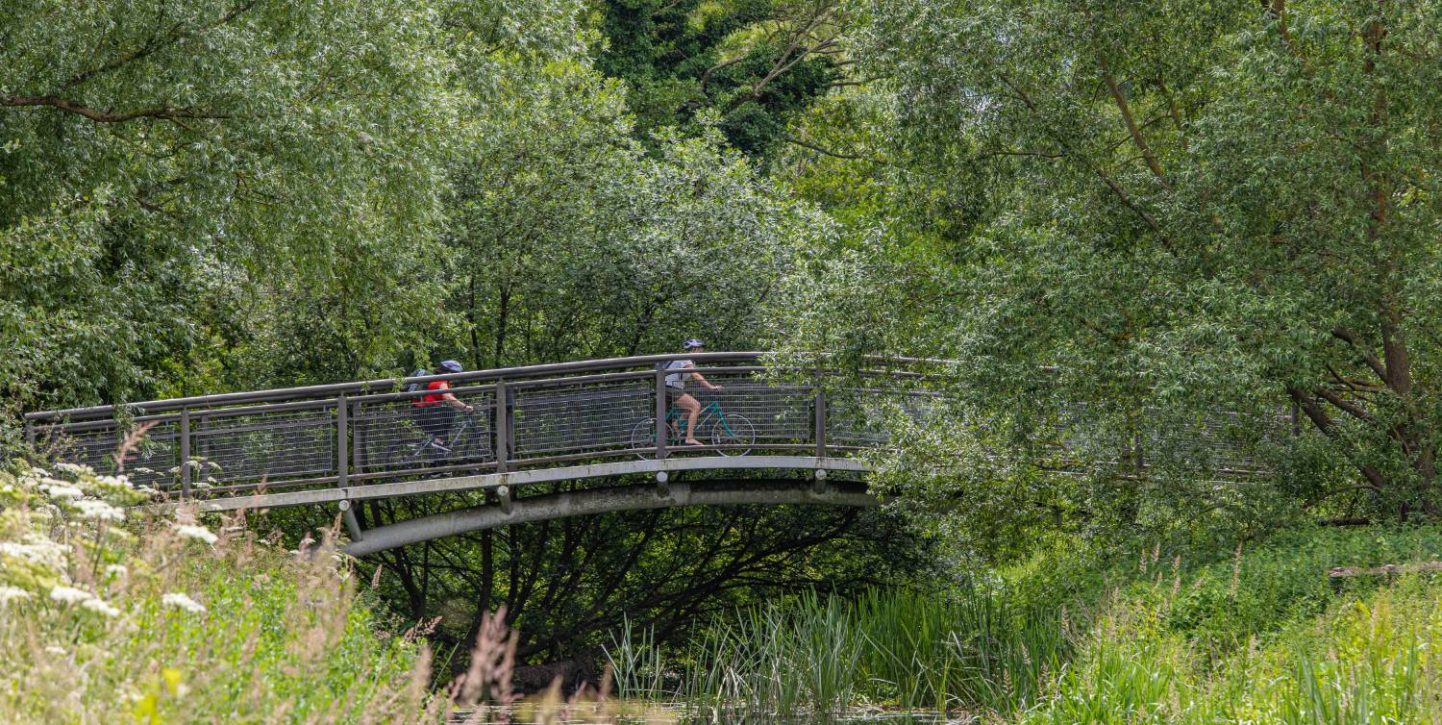 Chelmer Valley Local Nature Reserve - Love Your Chelmsford