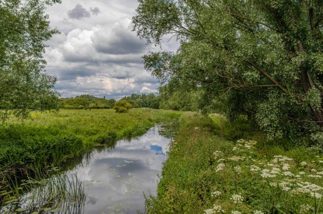 Chelmer Valley Local Nature Reserve - Love Your Chelmsford