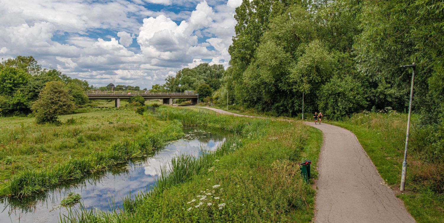 Chelmer Valley Local Nature Reserve - Love Your Chelmsford