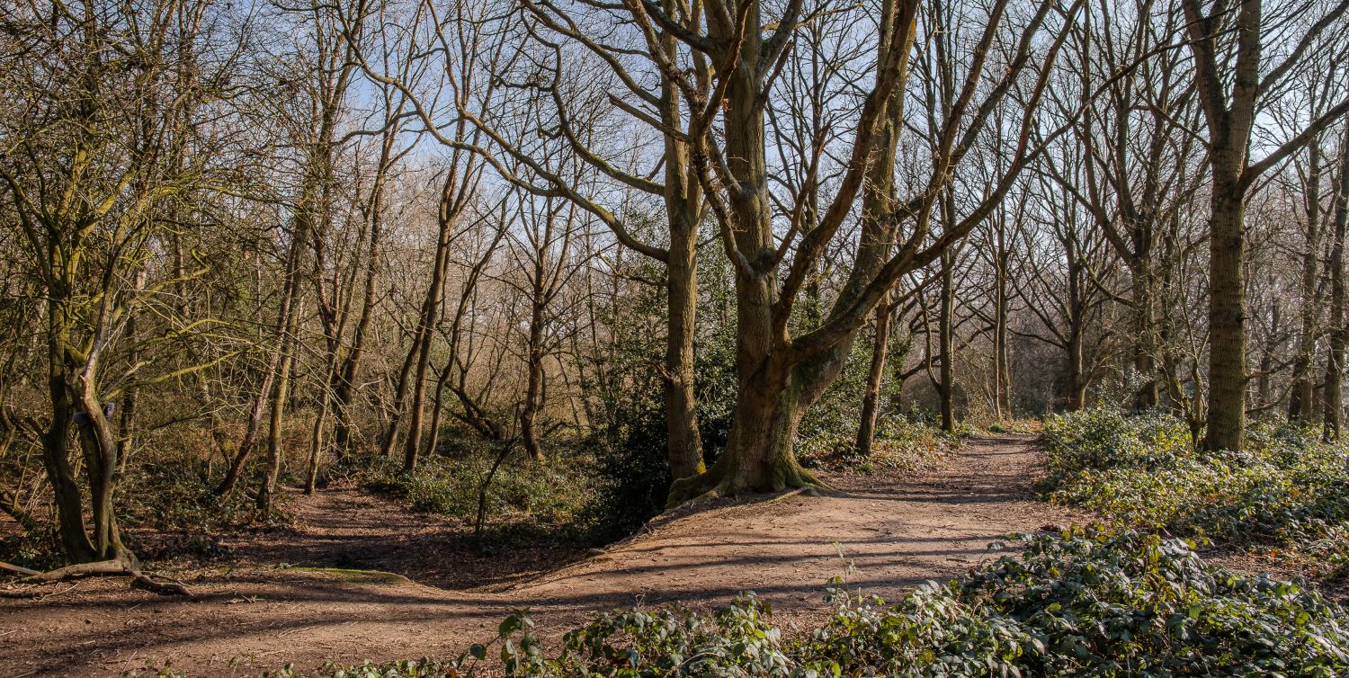 Galleywood Common Chelmsford - Love Your Chelmsford