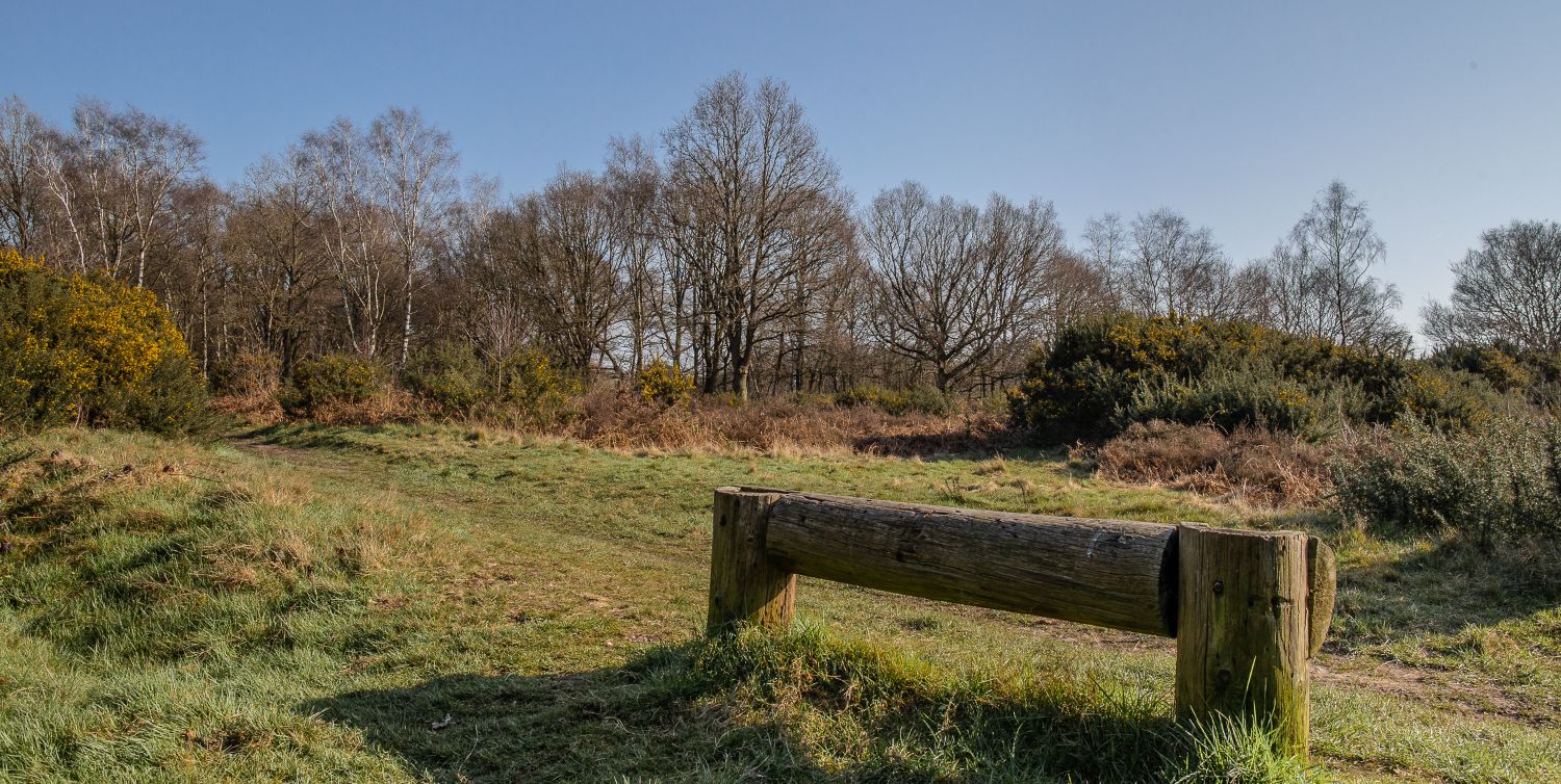 Galleywood Common Chelmsford - Love Your Chelmsford