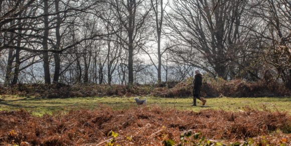 Galleywood Common Chelmsford - Love Your Chelmsford