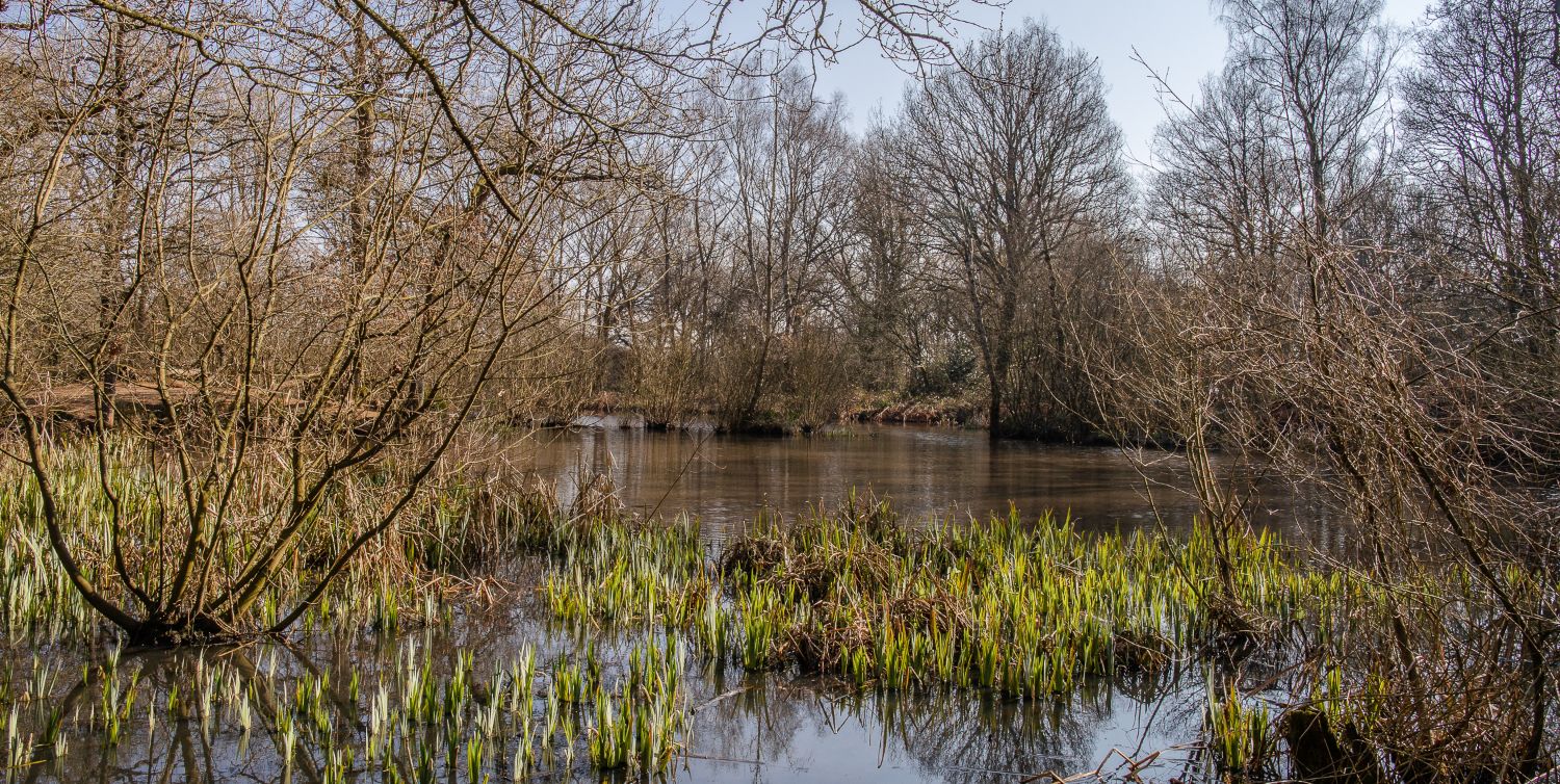 Galleywood Common Chelmsford - Love Your Chelmsford