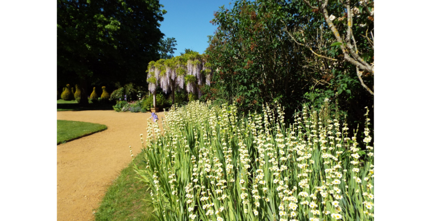 Hylands Park, Chelmsford - Love Your Chelmsford