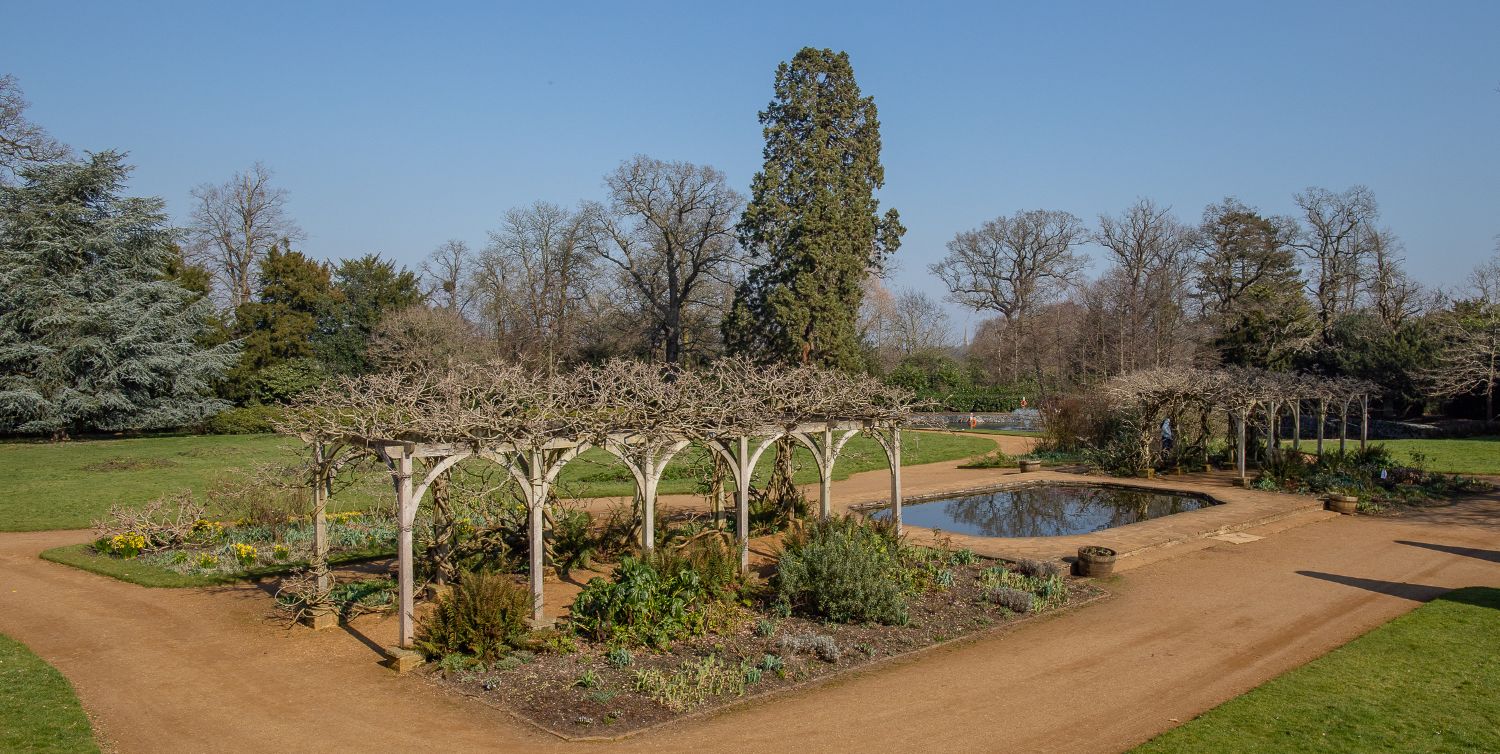 Hylands Park, Chelmsford - Love Your Chelmsford