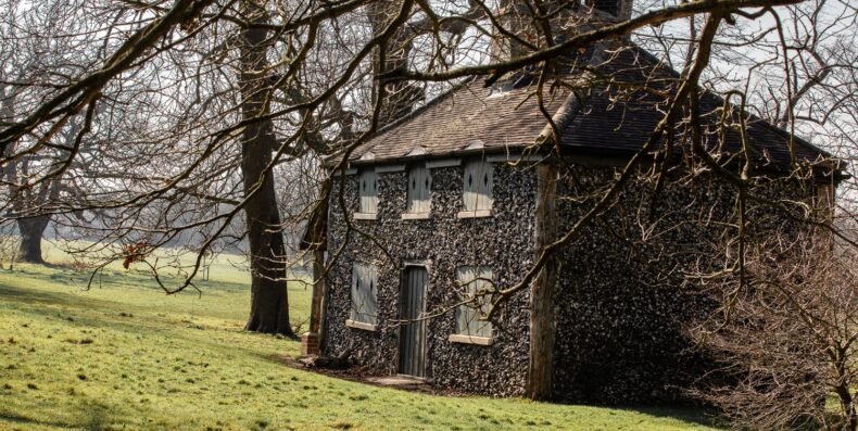 Hylands Park, Chelmsford - Love Your Chelmsford