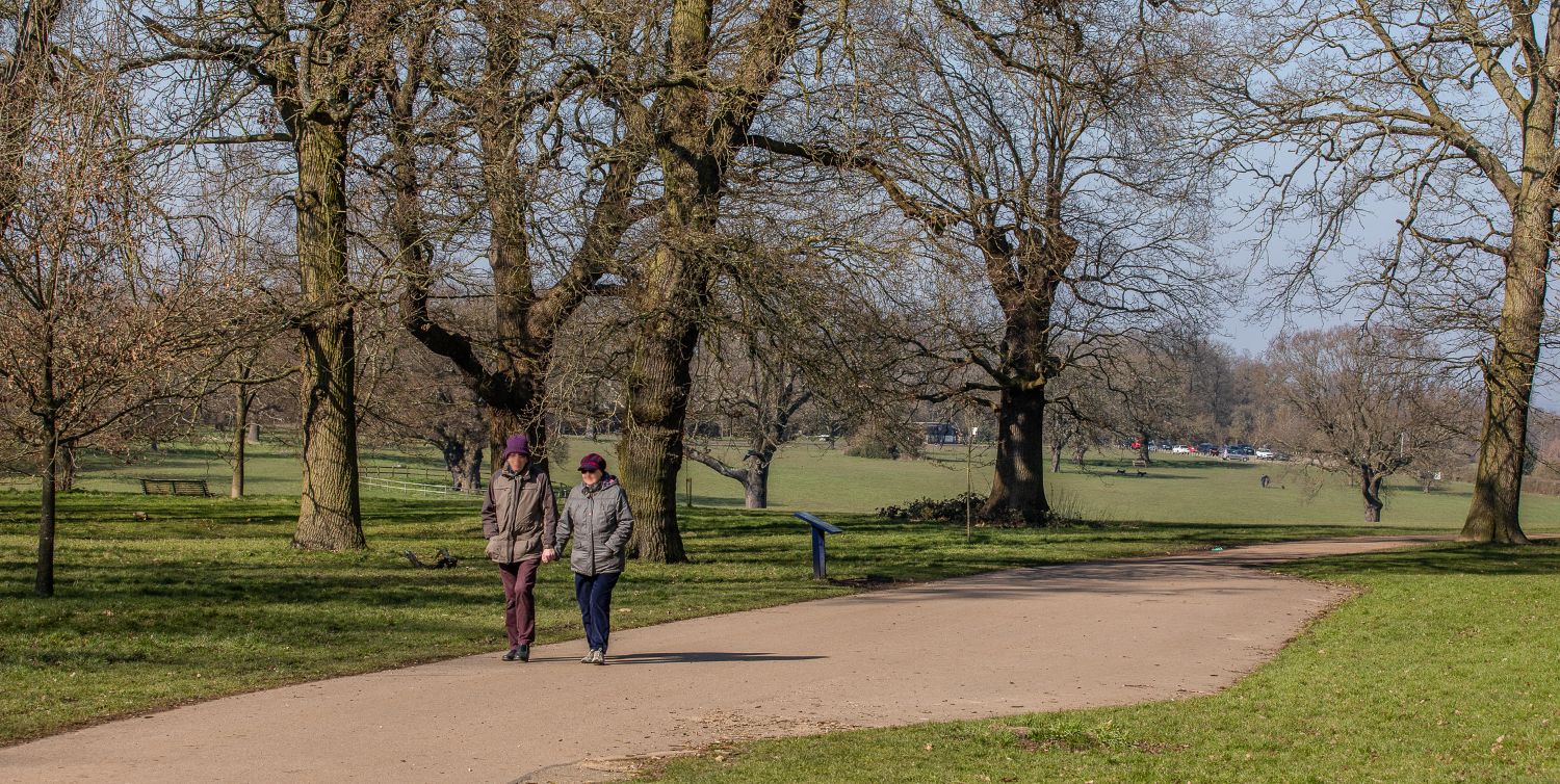 Hylands Park, Chelmsford - Love Your Chelmsford