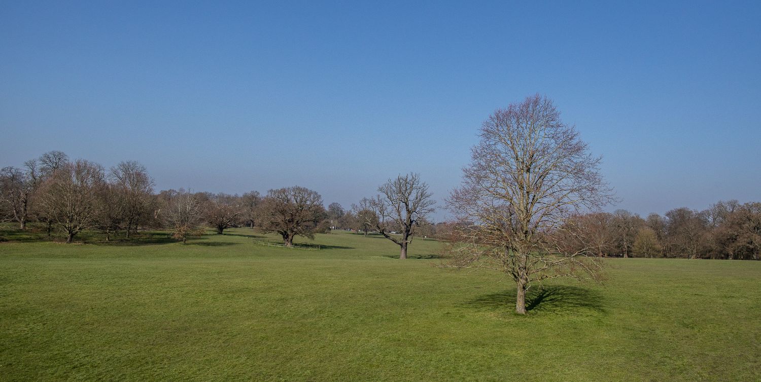 Hylands Park, Chelmsford - Love Your Chelmsford