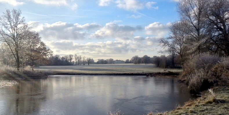 Hylands Park, Chelmsford - Love Your Chelmsford