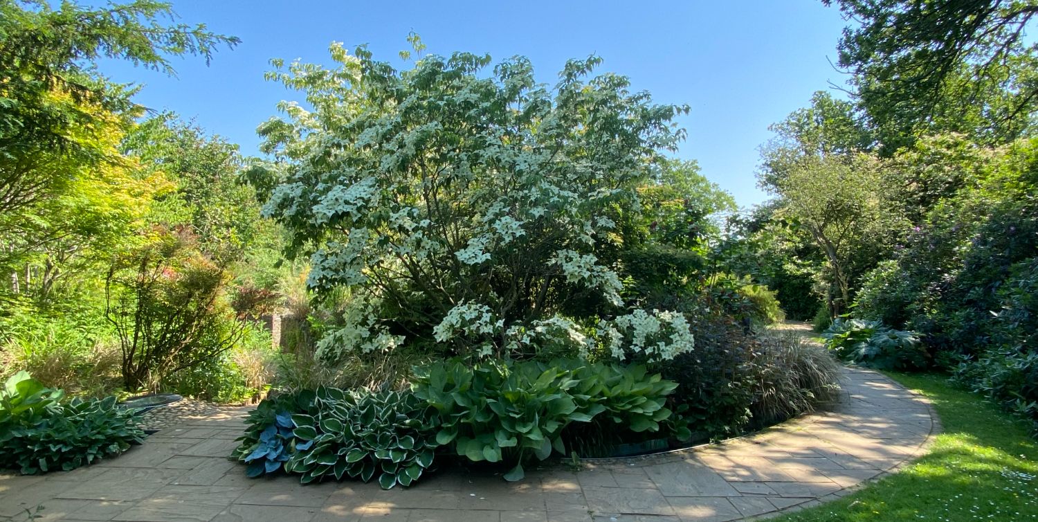 Hylands Park, Chelmsford - Love Your Chelmsford