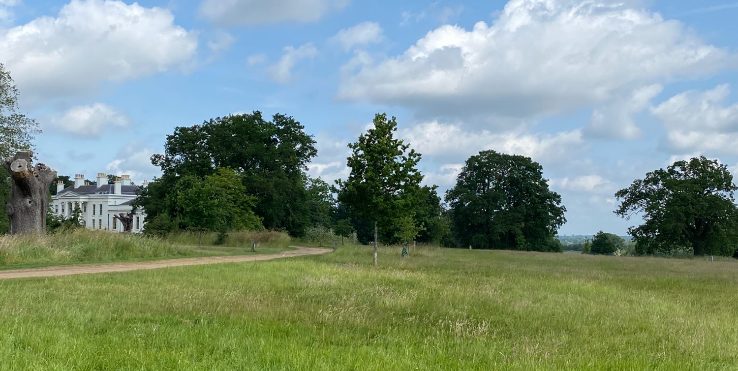 Hylands Park, Chelmsford - Love Your Chelmsford