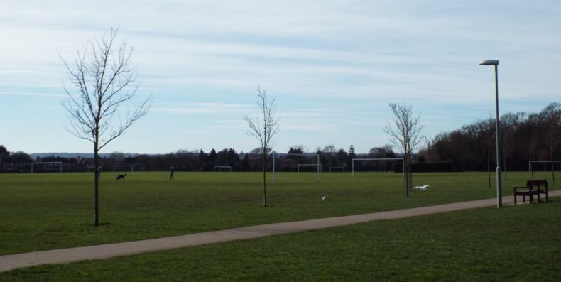 Melbourne Park in Chelmsford - Love Your Chelmsford