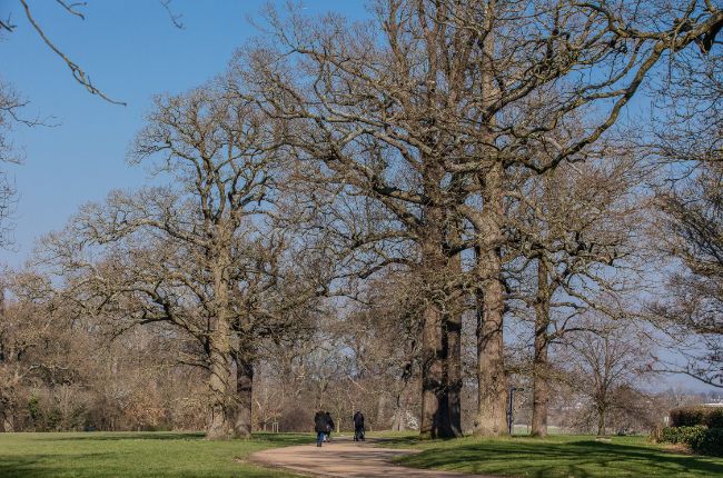 Hylands Park, Chelmsford - Love Your Chelmsford