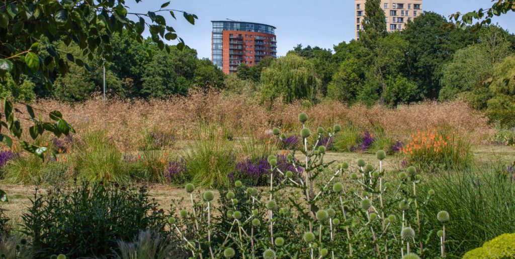 Central Park, Bell Meadow and Sky Blue Pasture - Love Your Chelmsford