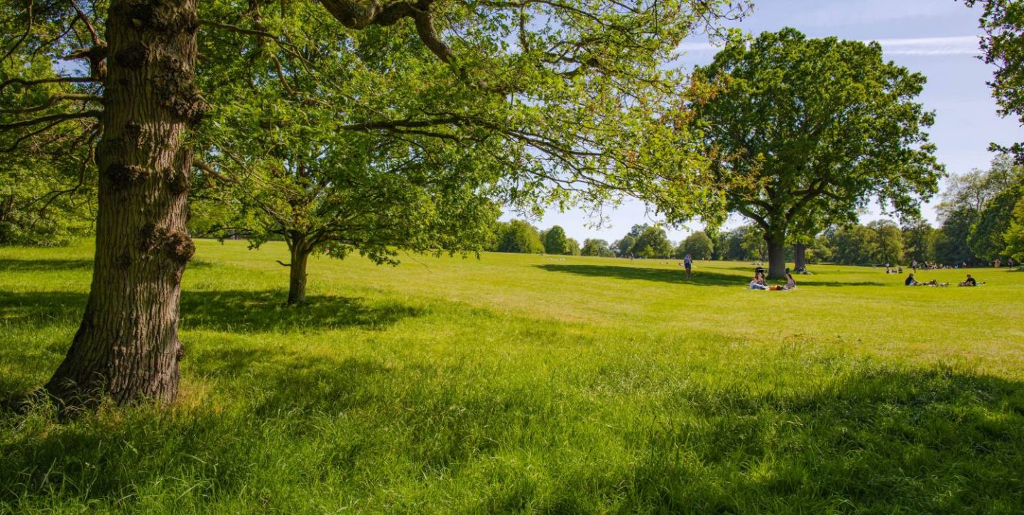 Hylands Park, Chelmsford - Love Your Chelmsford