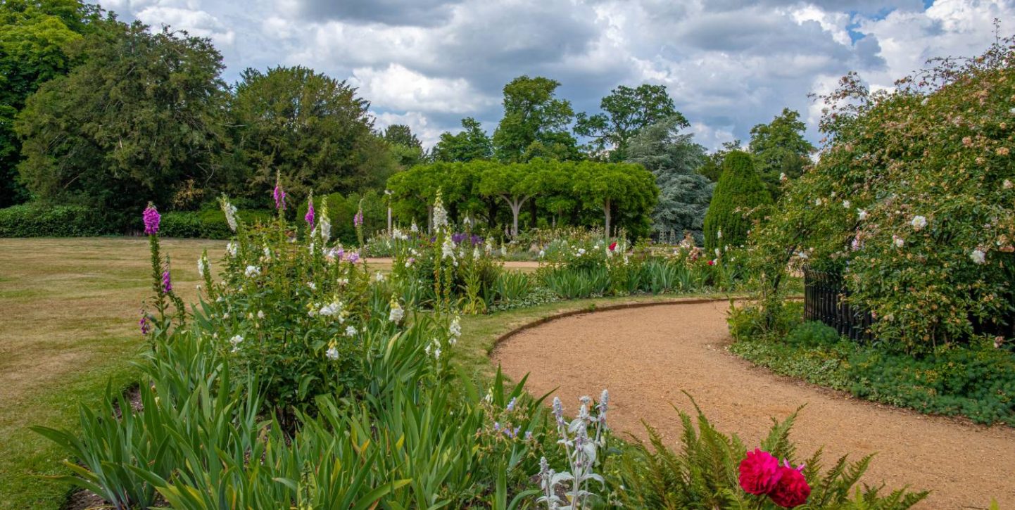 Hylands Park, Chelmsford - Love Your Chelmsford