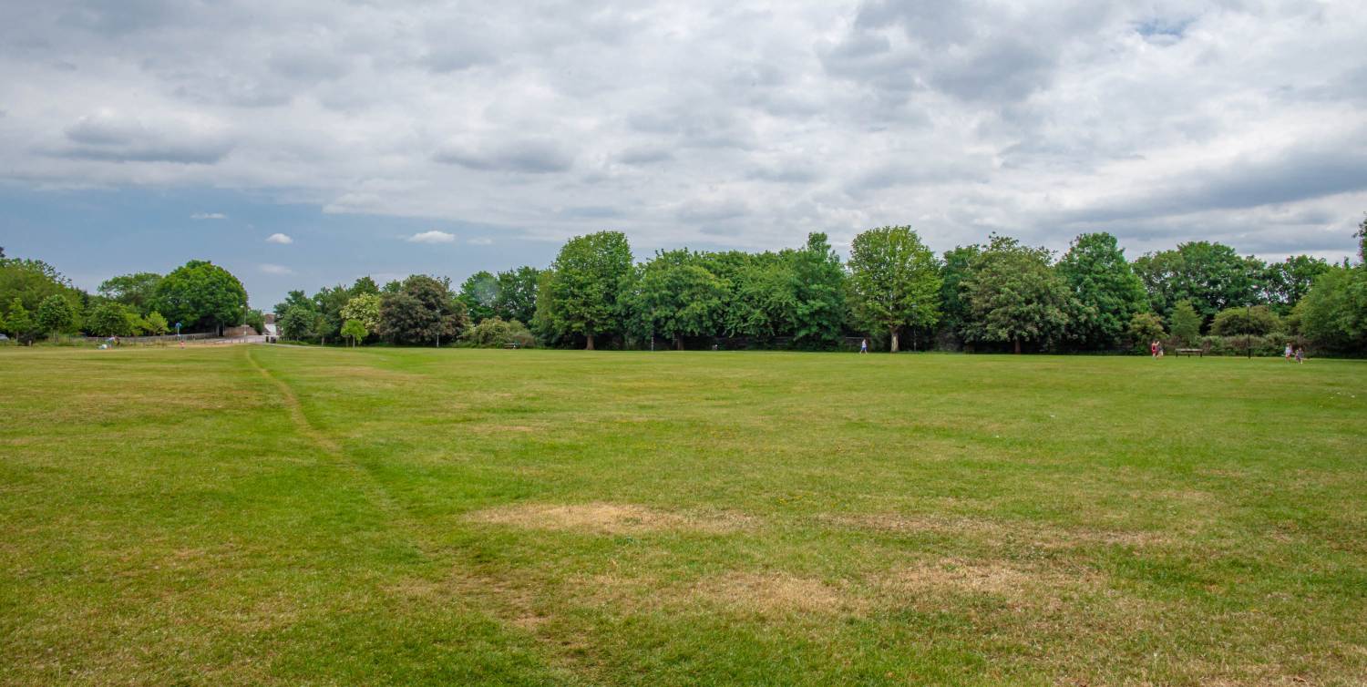 Springfield Green and Pollards Meadow - Love Your Chelmsford ...
