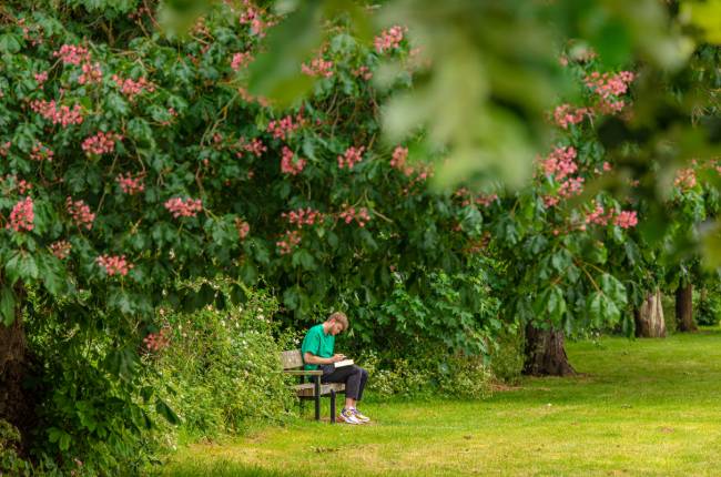 Springfield Green and Pollards Meadow - Love Your Chelmsford ...