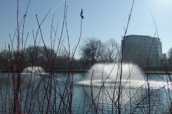 Central Park, Bell Meadow and Sky Blue Pasture - Love Your Chelmsford