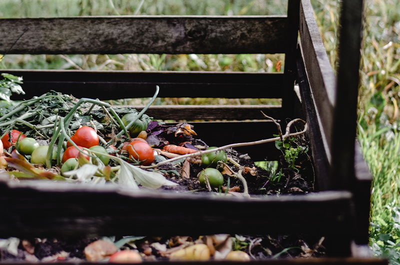 Composting - Love Your Chelmsford