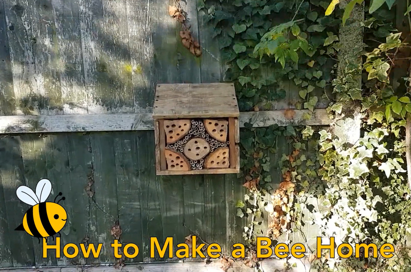 How to Make a Bee Home - Love Your Chelmsford