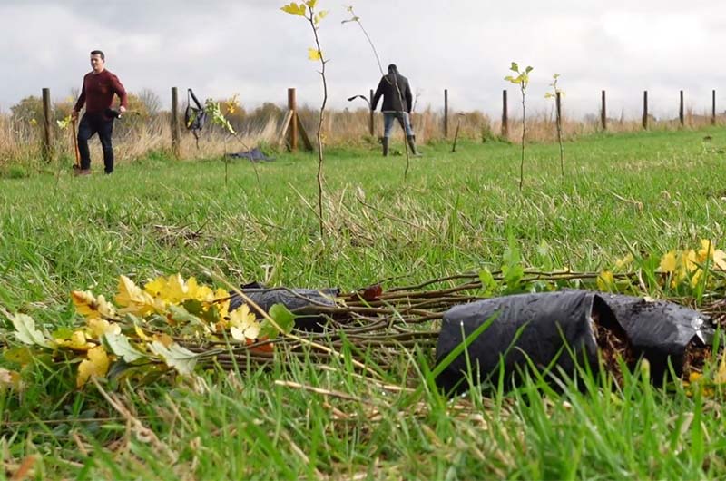 2021 Winter Tree Planting - Love Your Chelmsford
