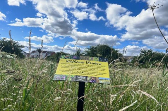 Green Living - Love Your Chelmsford