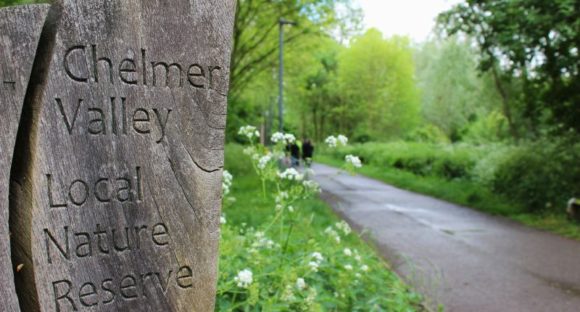 Love Your Chelmsford Come and discover Chelmer Valley Local Nature Reserve