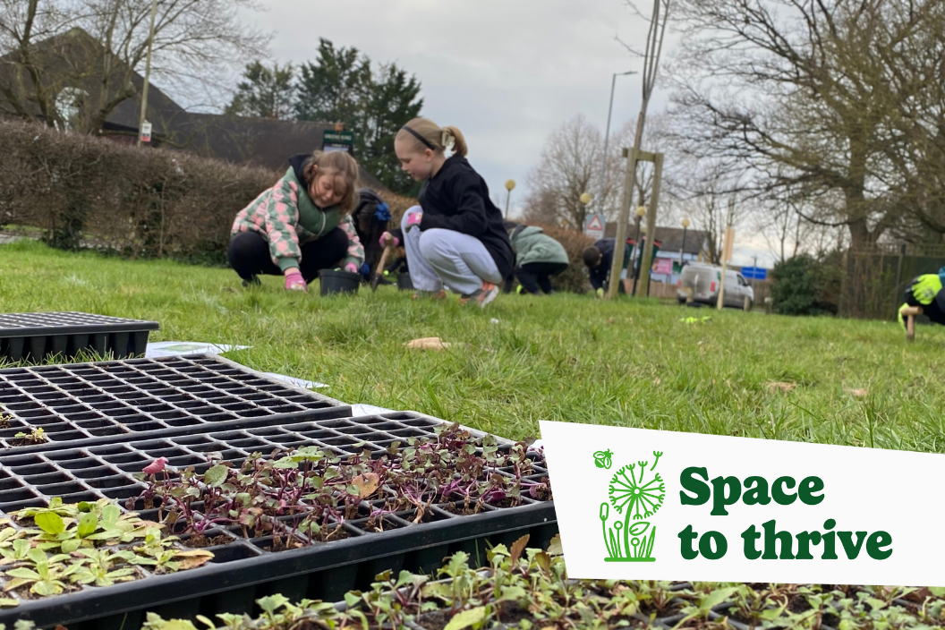 Love Your Chelmsford Wildflower Planting with Newlands Spring Primary ...