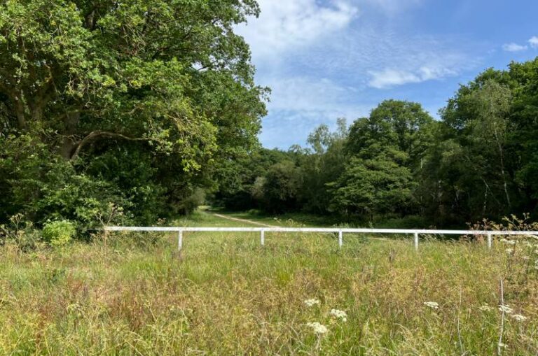 Park of the Month - Galleywood Common Local Nature Reserve - Love Your ...